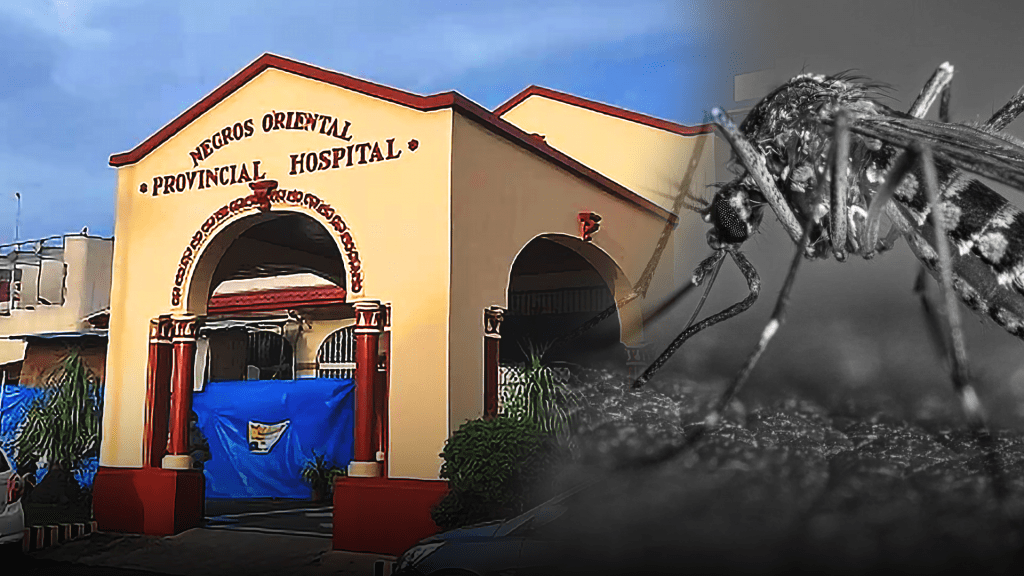 Dumaguete provincial hospital overwhelmed amid dengue fears - Sunday Punch