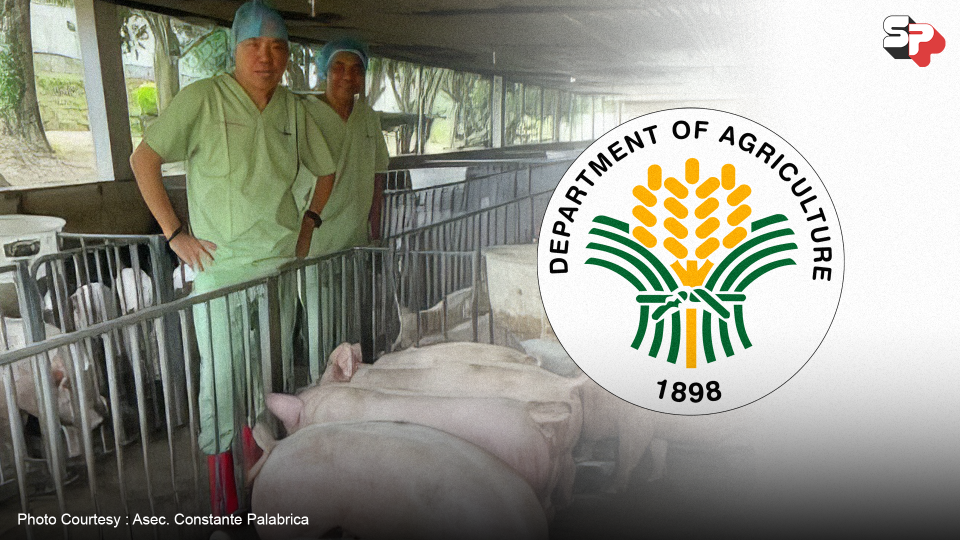 DA adds Lipa, more villages in Batangas ASF vaccination - Sunday Punch